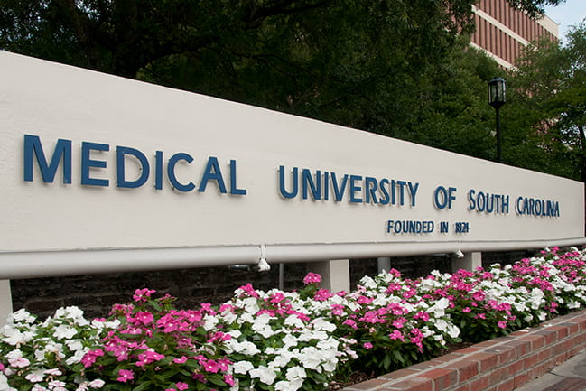 Medical University of South Carolina Foundation Board of Directors ...
